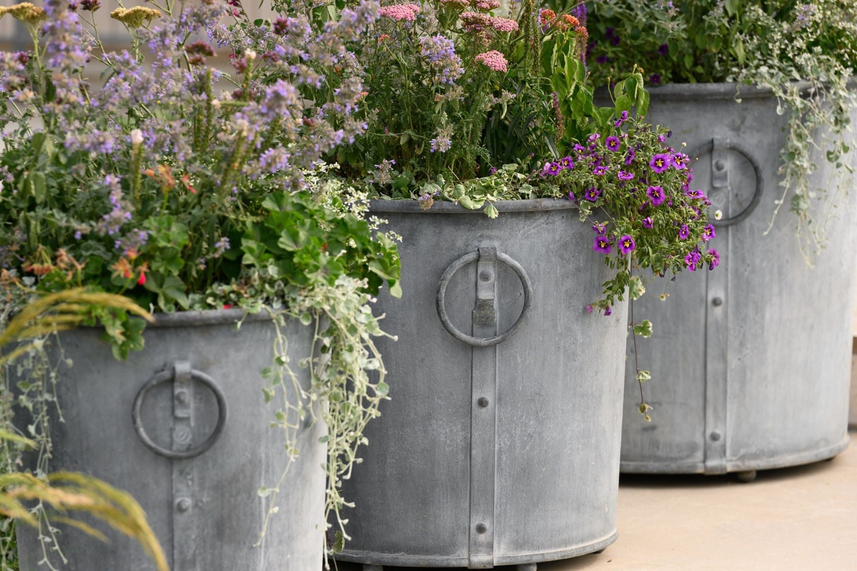 Southwold Round Planters - Harrod Horticultural