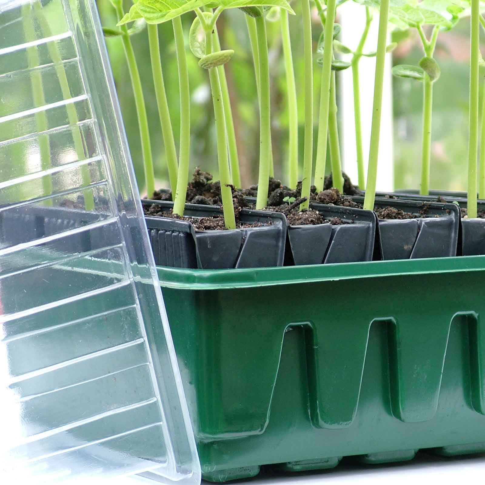 Rootrainers - Harrod Horticultural (UK)