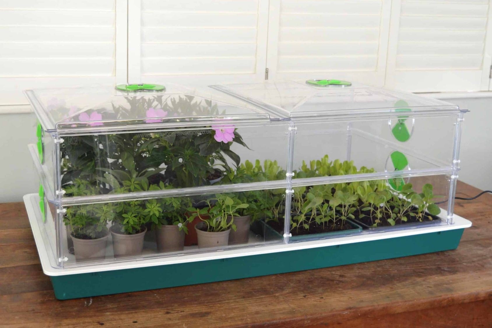 New Large Vitopod Electric Variable Temperature Control Propagator ...