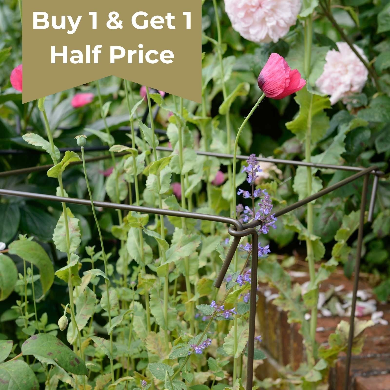 Harrod Link Stake Plant Supports - Harrod Horticultural