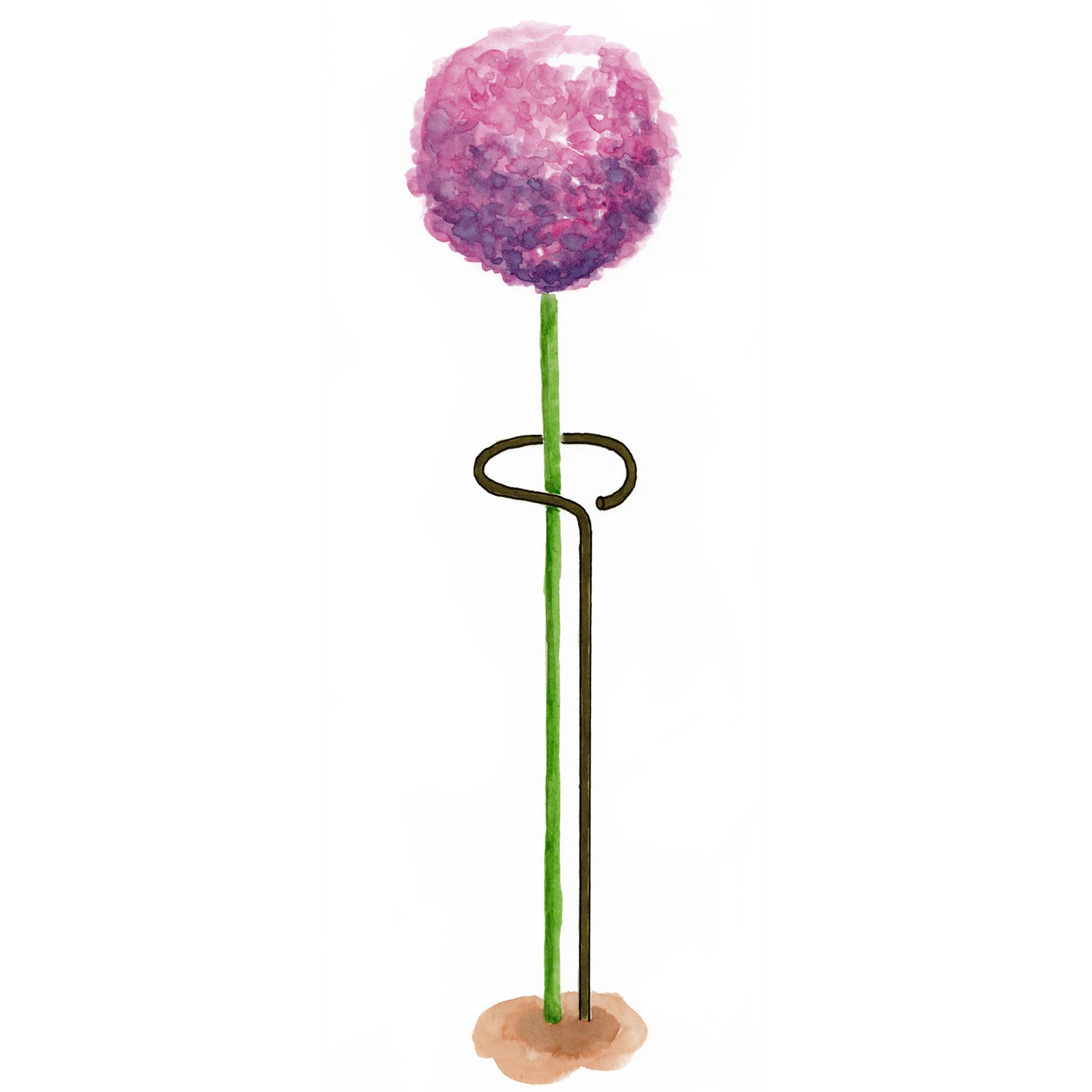 Harrod Loop Plant Support - Harrod Horticultural