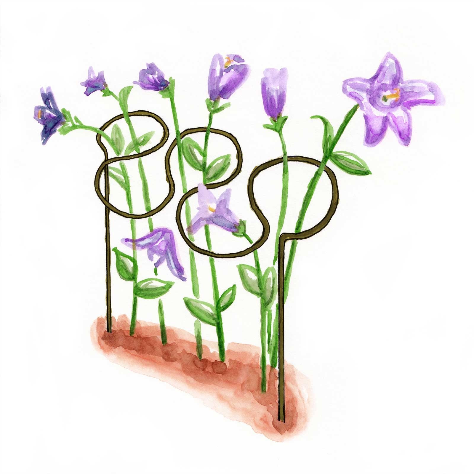 Harrod 5 Ring Grow Through Support - Harrod Horticultural