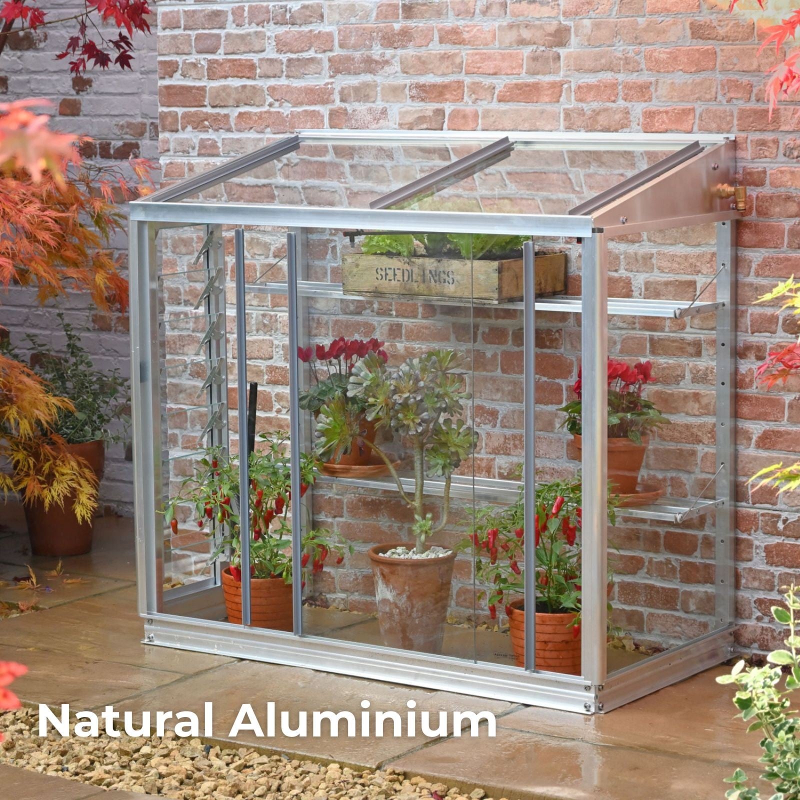 Superior Lean-To Mini Greenhouse - Harrod Horticultural (UK)