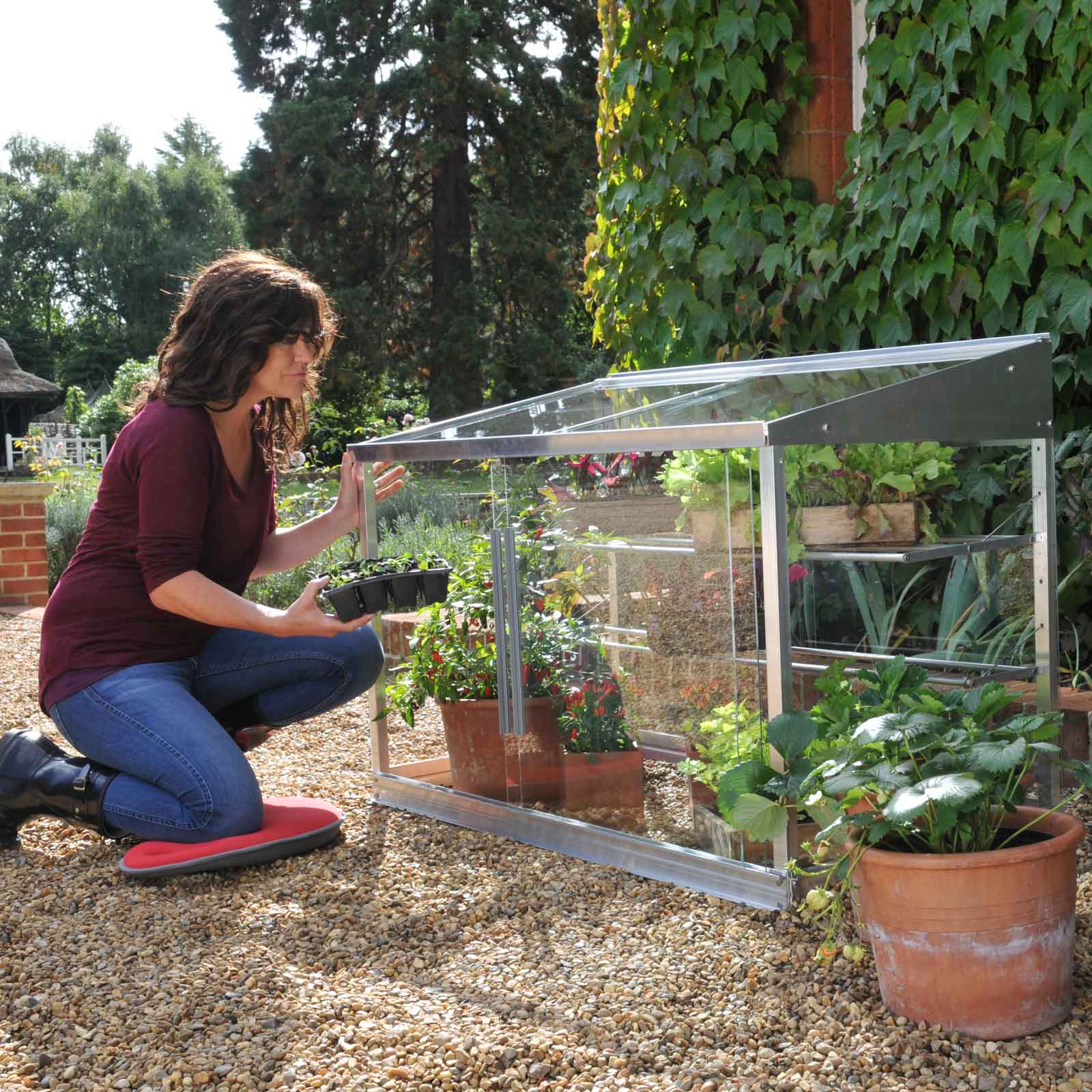 Half Growhouse Mini Greenhouse - Harrod Horticultural
