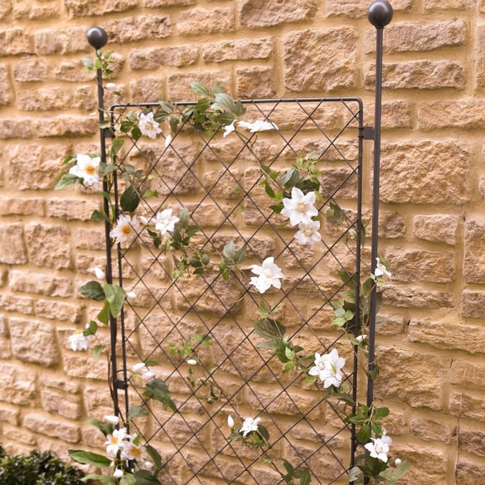 Harrod Trellis Growing Frames 12mm Posts - Harrod Horticultural