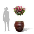 Tinaja Ironstone Pot Planters - Harrod Horticultural