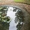 Flat Aluminium Pond Covers - Harrod Horticultural