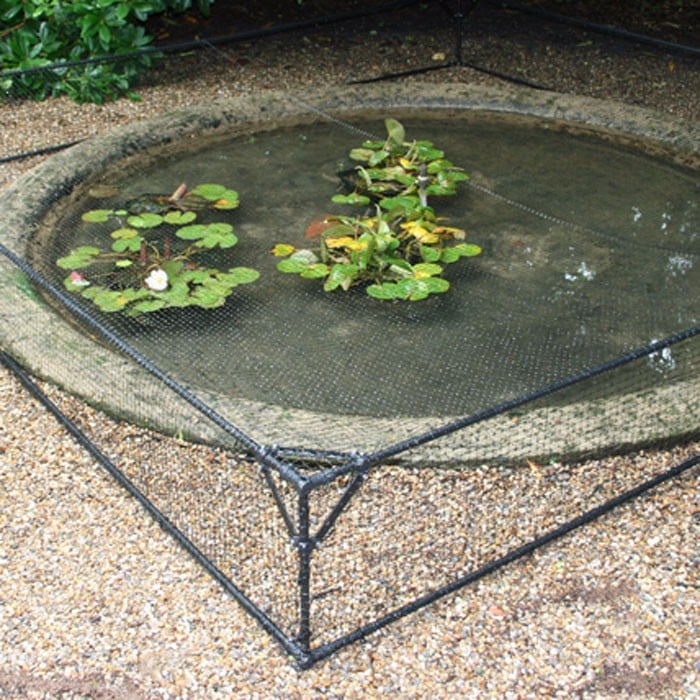 Buy Raised Pond Cover at Georgia Challis blog