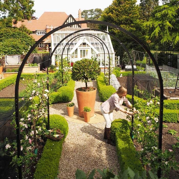 Harrod Single Hoop Garden Arch - Garden Arches at Harrod Horticultural