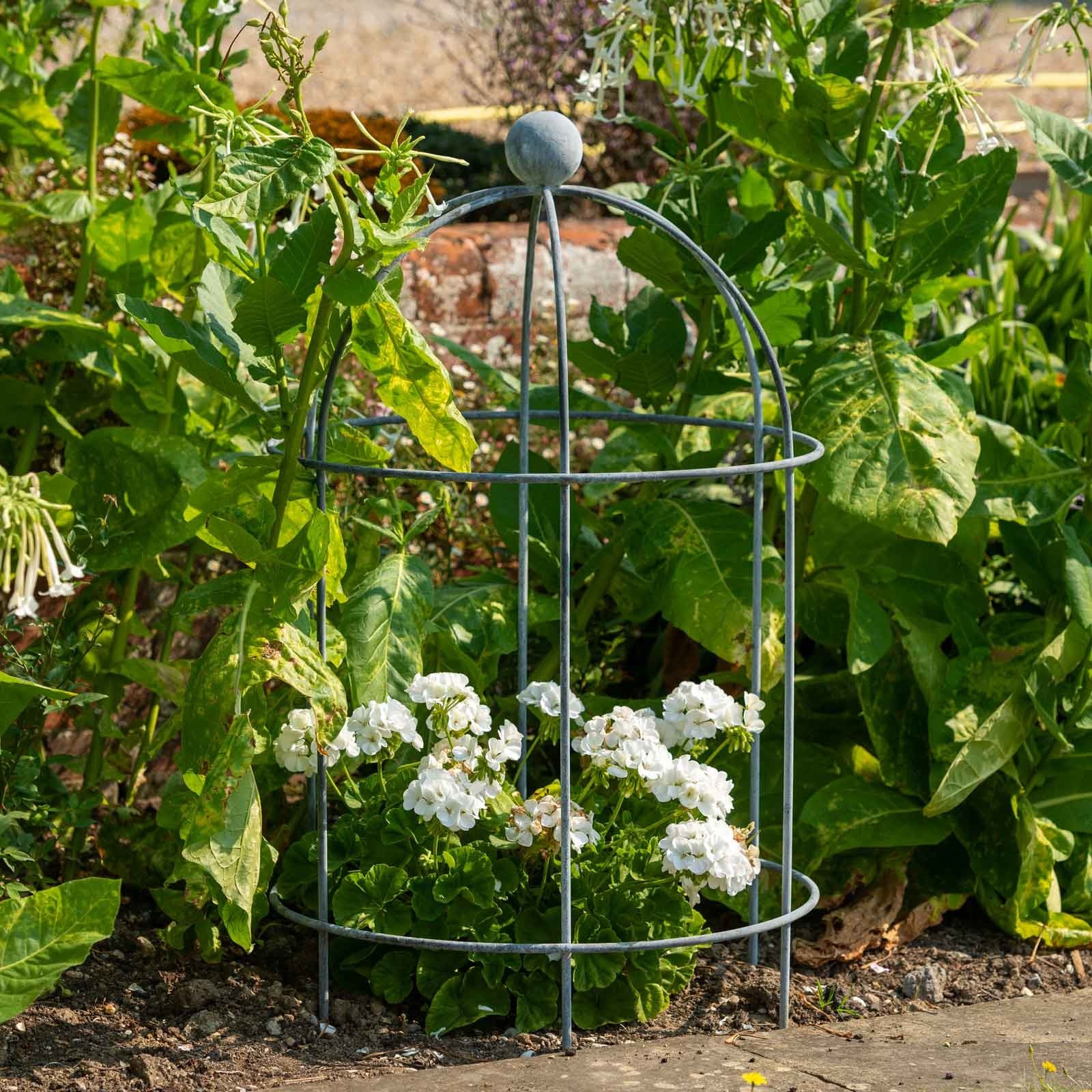 Southwold Lobster Pot Plant Supports - Harrod Horticultural