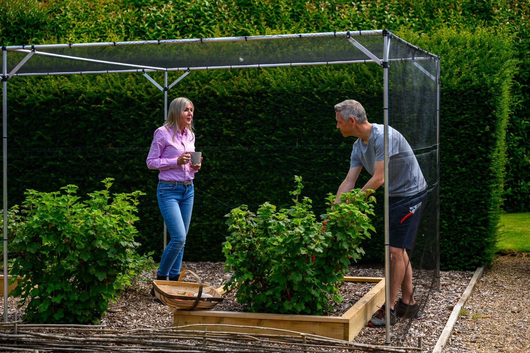 Aluminium Fruit Cages - Harrod Horticultural (UK)