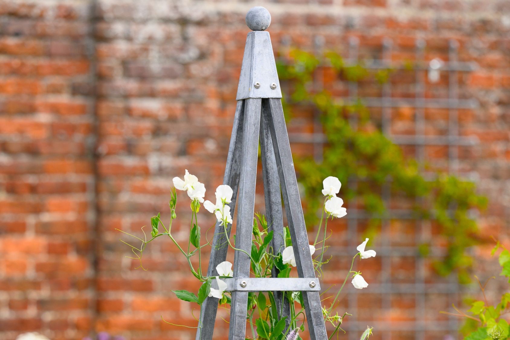 Southwold Pyramid Steel Obelisk - Harrod Horticultural