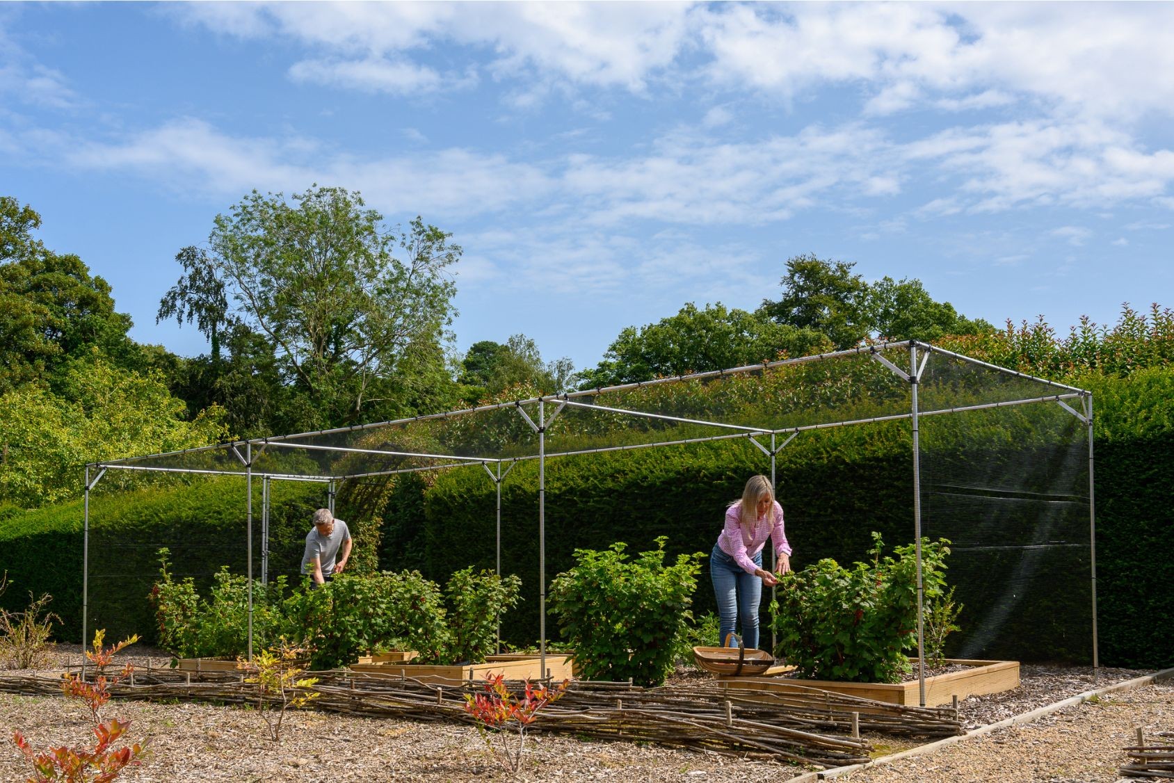 Aluminium Fruit Cages - Harrod Horticultural (UK)