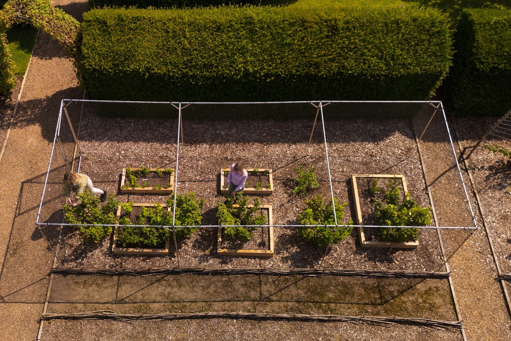 Aluminium Fruit Cages - Harrod Horticultural (UK)