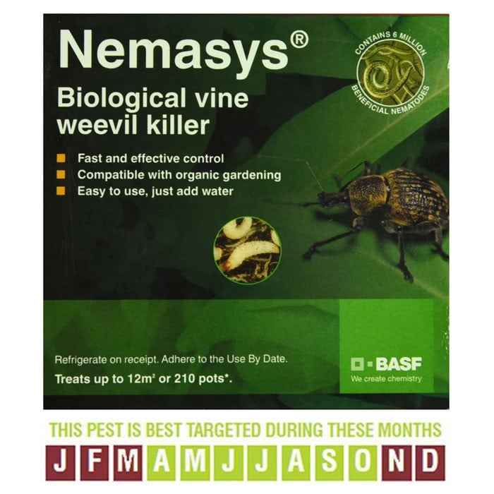 Nemasys Vine Weevil Killer Pest Control - Harrod Horticultural