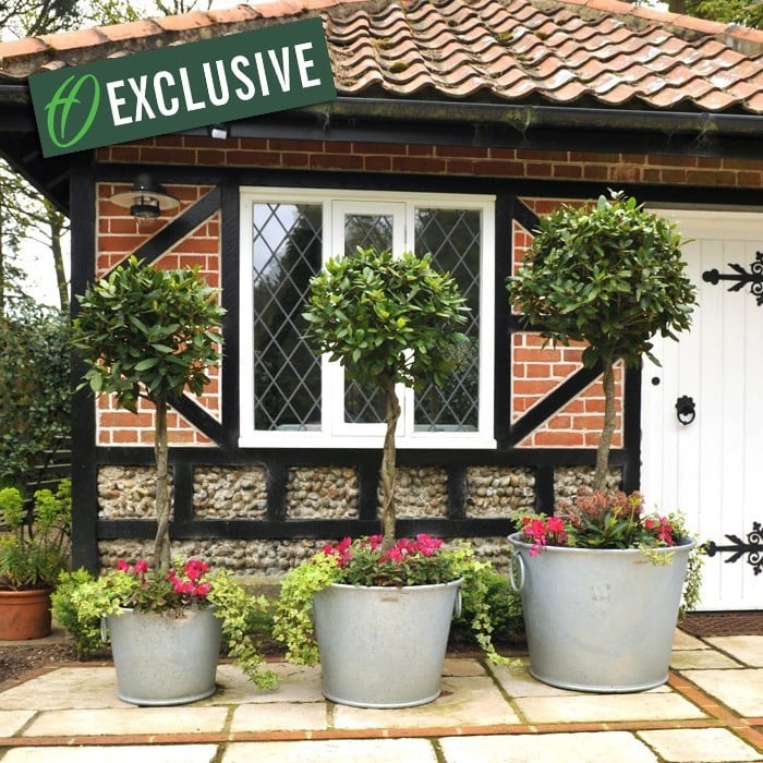 Galvanised Zinc Planters - Garden Supplies at Harrod Horticultural
