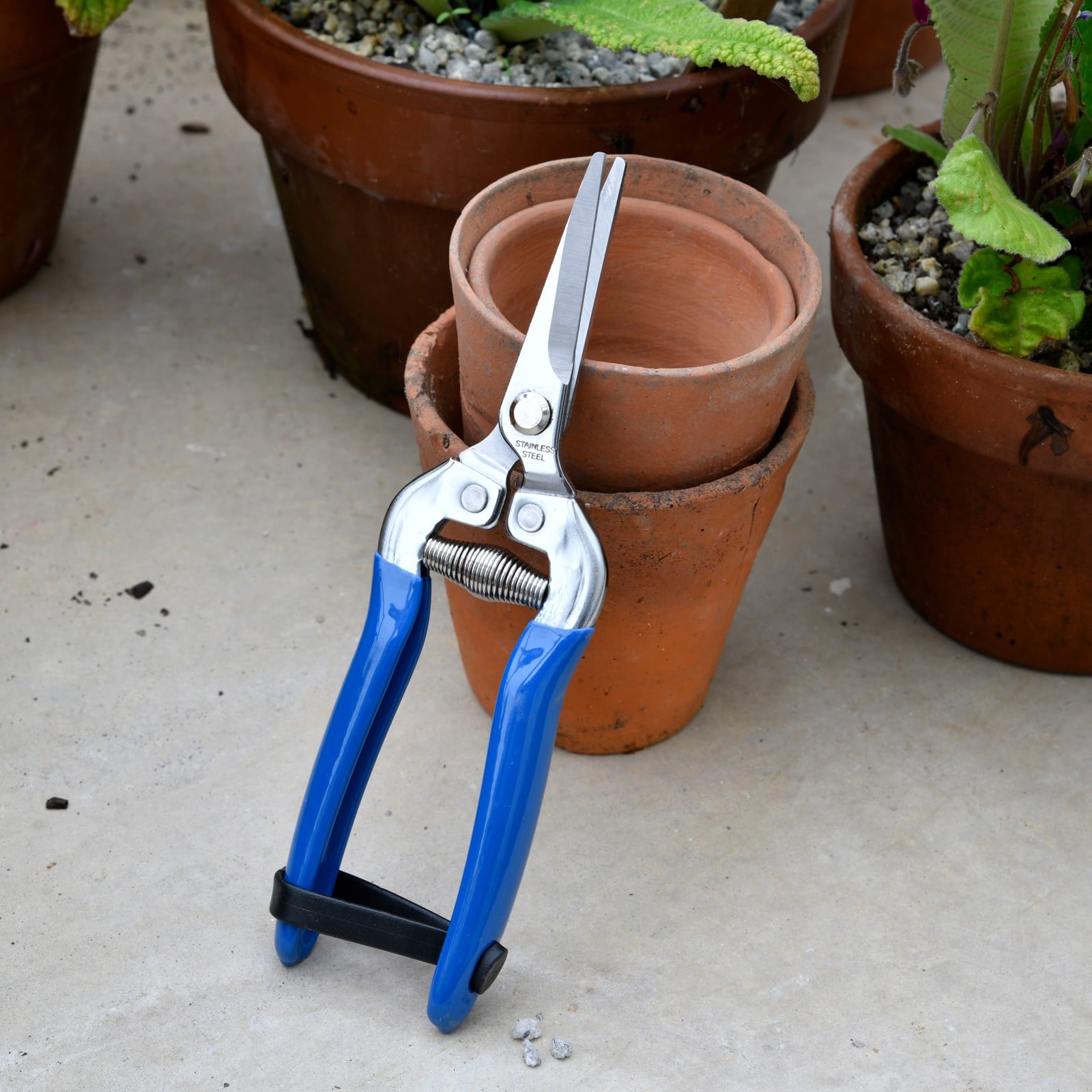 British Meadow Gardening Snips - Harrod Horticultural