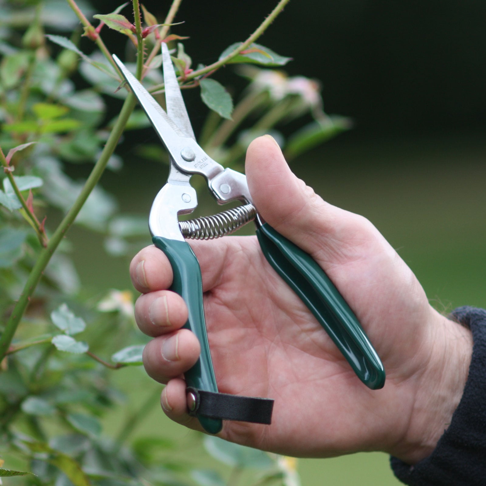 Burgon and Ball Flower and Fruit Snips - Harrod Horticultural