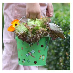 Childrens Green Patterned Bucket - Harrod Horticultural (UK)