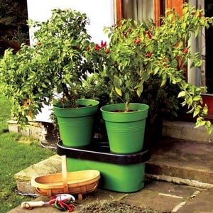 Duo Grow Planter - Harrod Horticultural