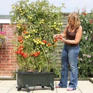 Earthbox Replacement Mulch Covers (2 Pack) - Harrod Horticultural