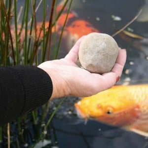 EM Mud Balls (Single) - Harrod Horticultural