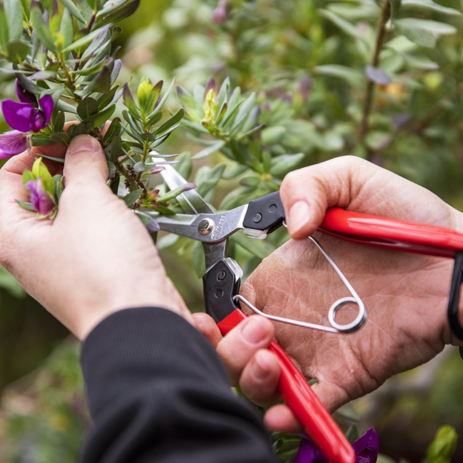 Felco Model 322 Snips - Harrod Horticultural