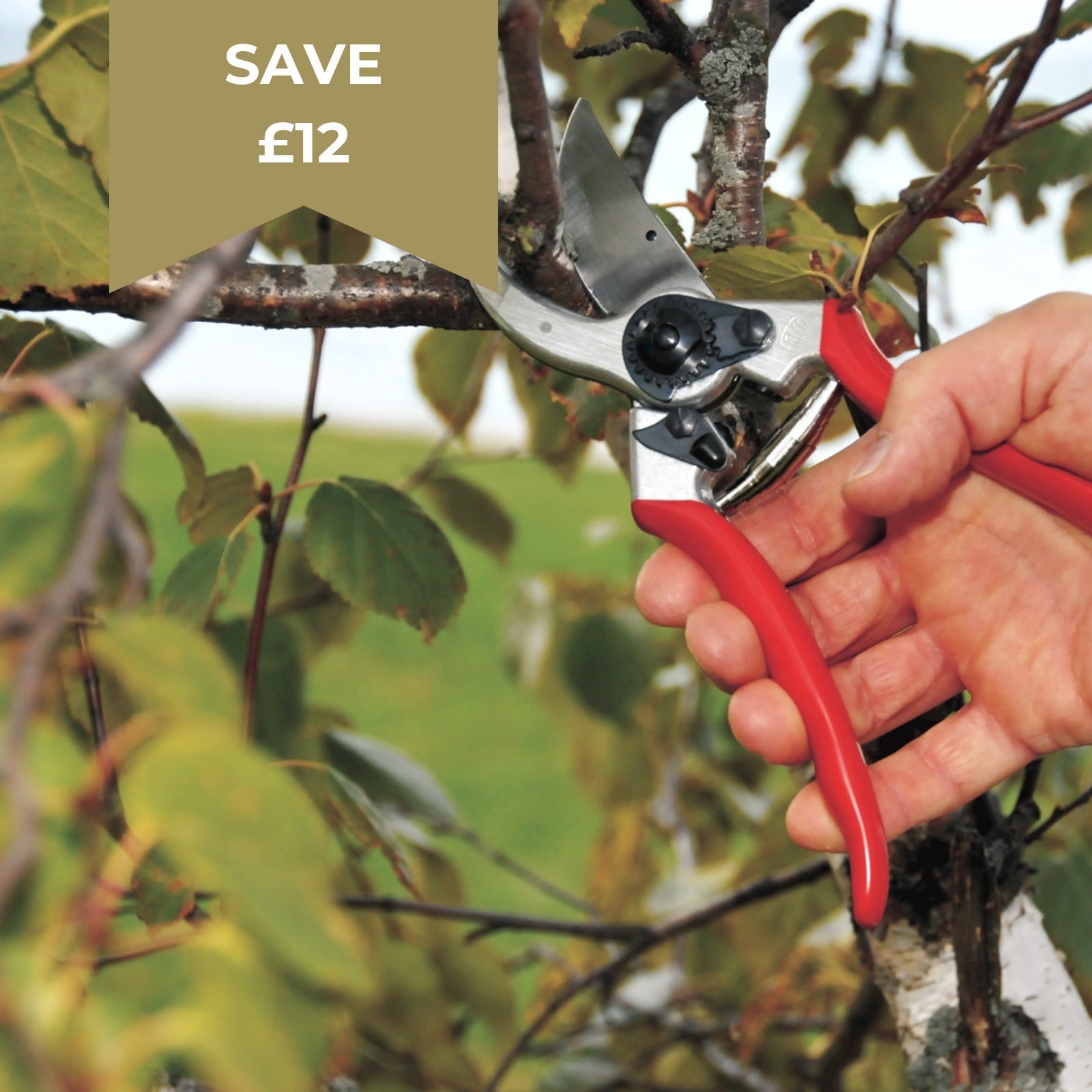 Felco Professional Model 2 Secateur - Harrod Horticultural