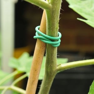 Plant Wires and Tree Ties - Harrod Horticultural