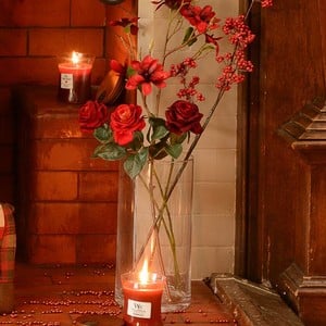 Glass Vase - Harrod Horticultural