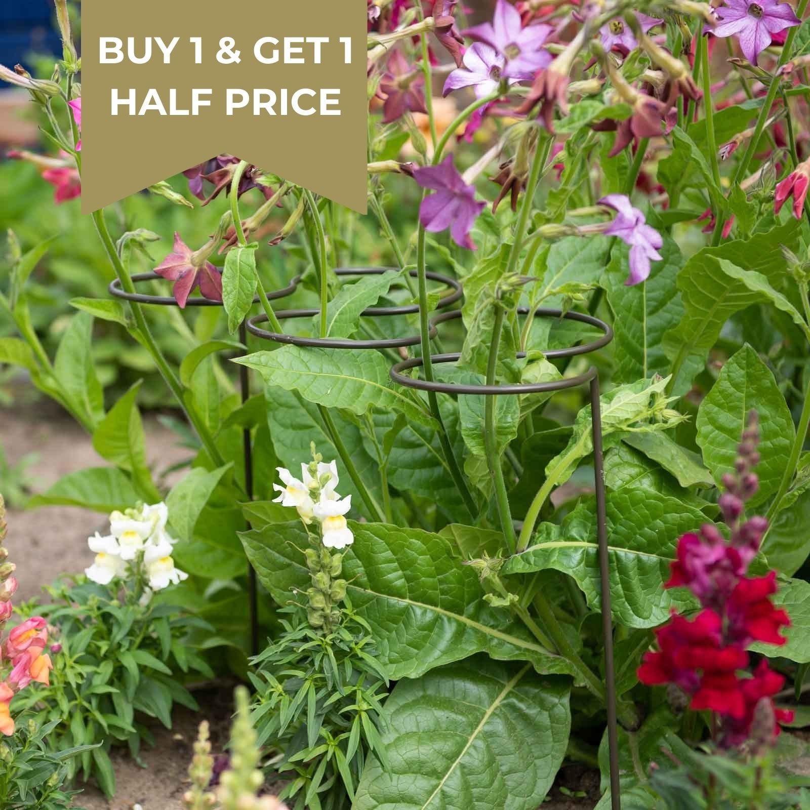 Harrod 5 Ring Grow Through Support - Harrod Horticultural