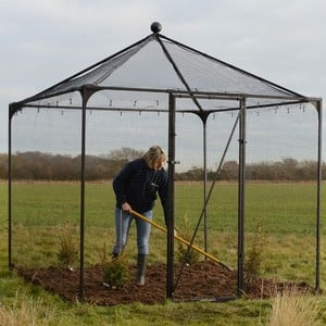 Steel Fruit Cages - Plant Protection by Harrod Horticultural