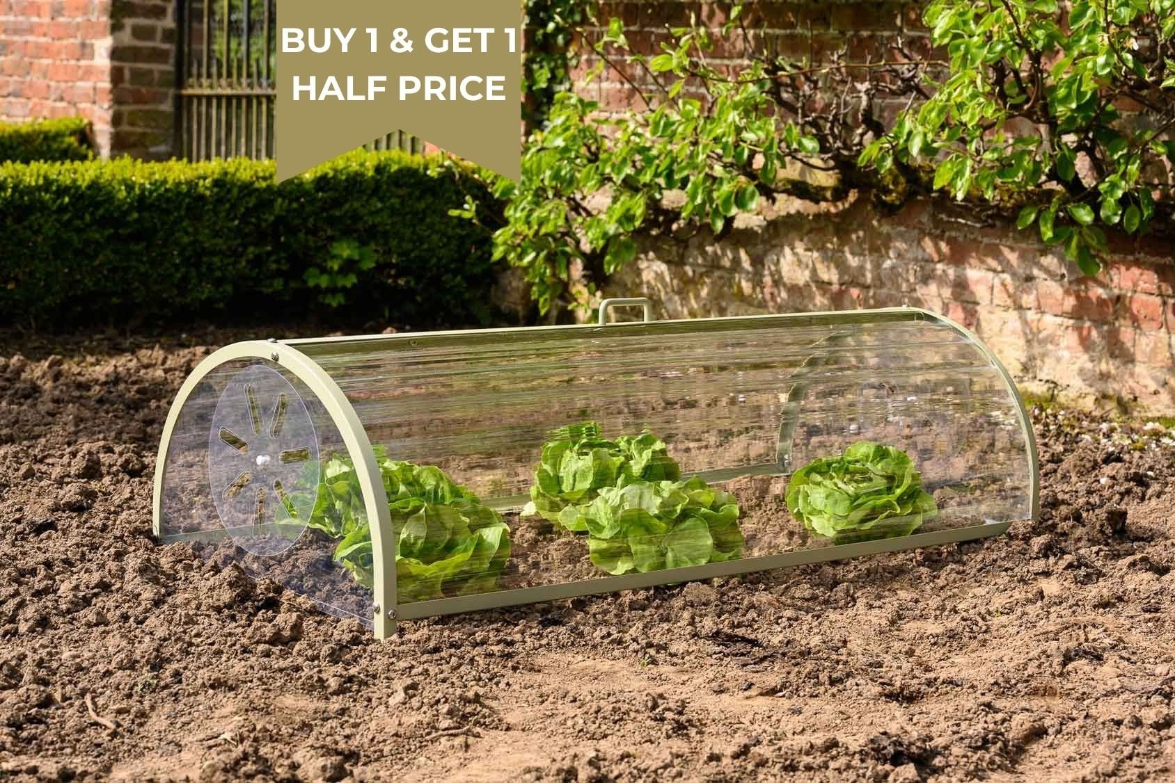 Harrod Longrow Cloche - Harrod Horticultural