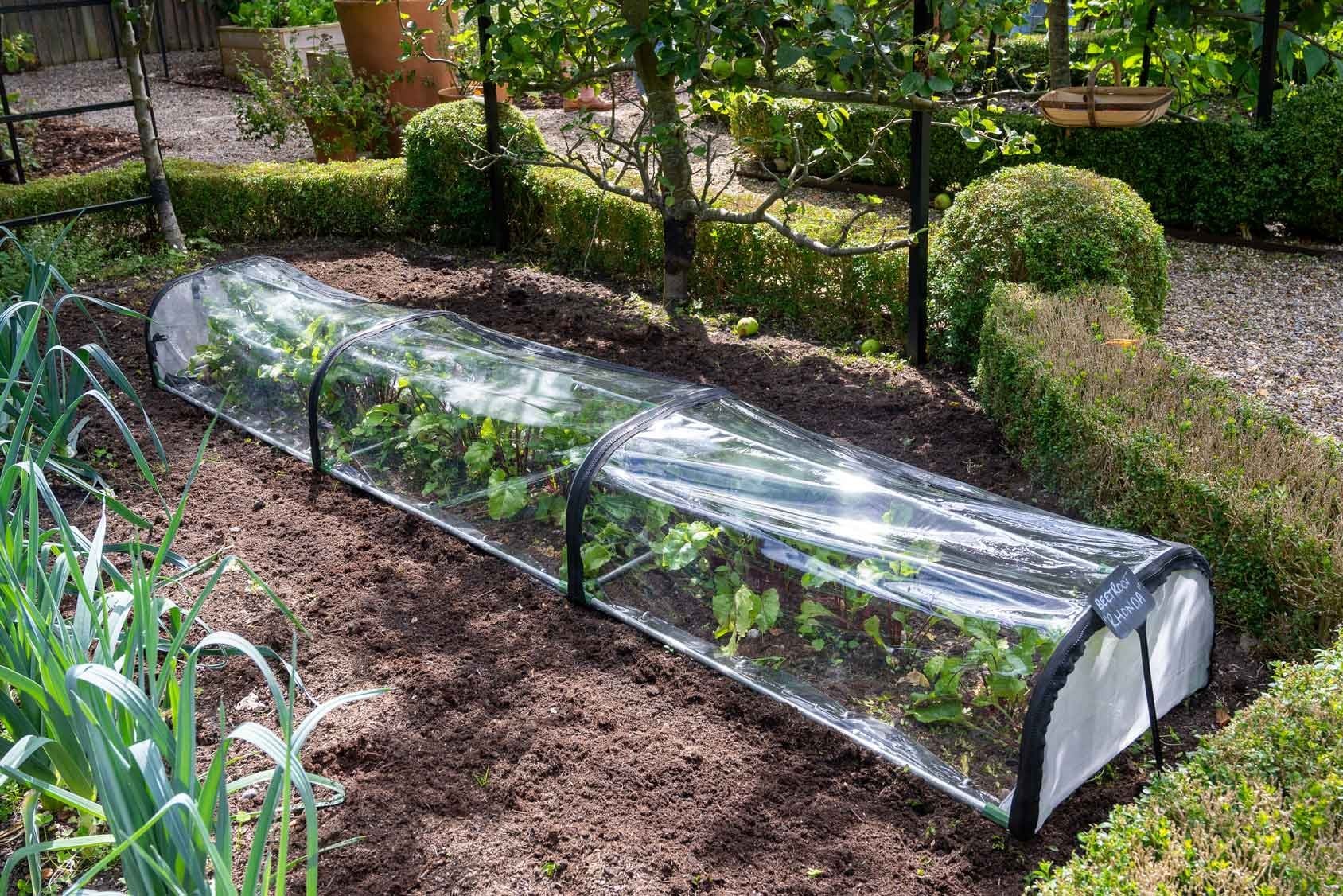 Harrod Modular Cloche - Harrod Horticultural