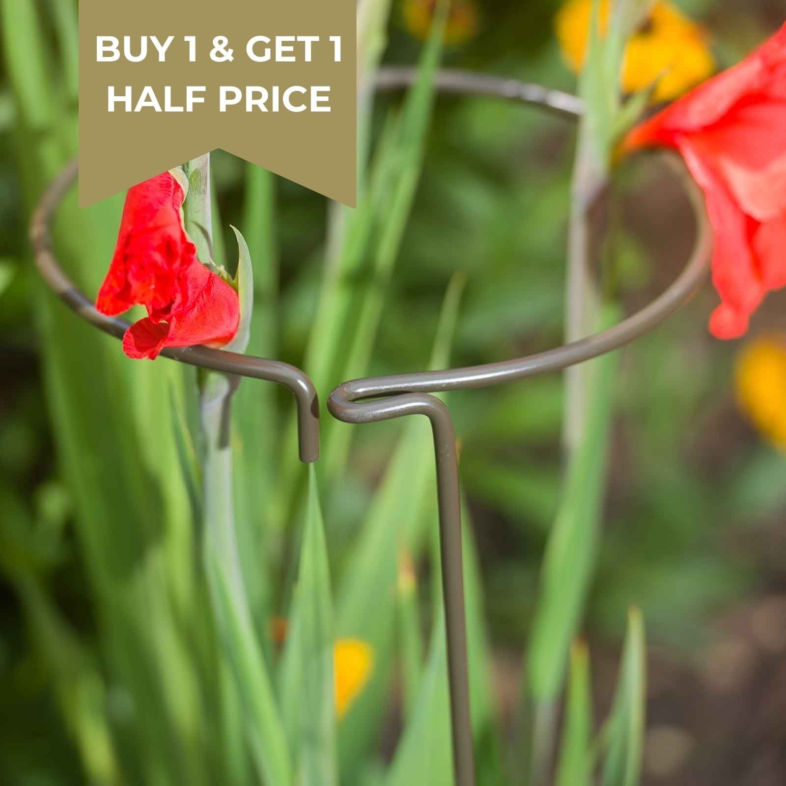 Harrod Releasable Plant Supports - Harrod Horticultural