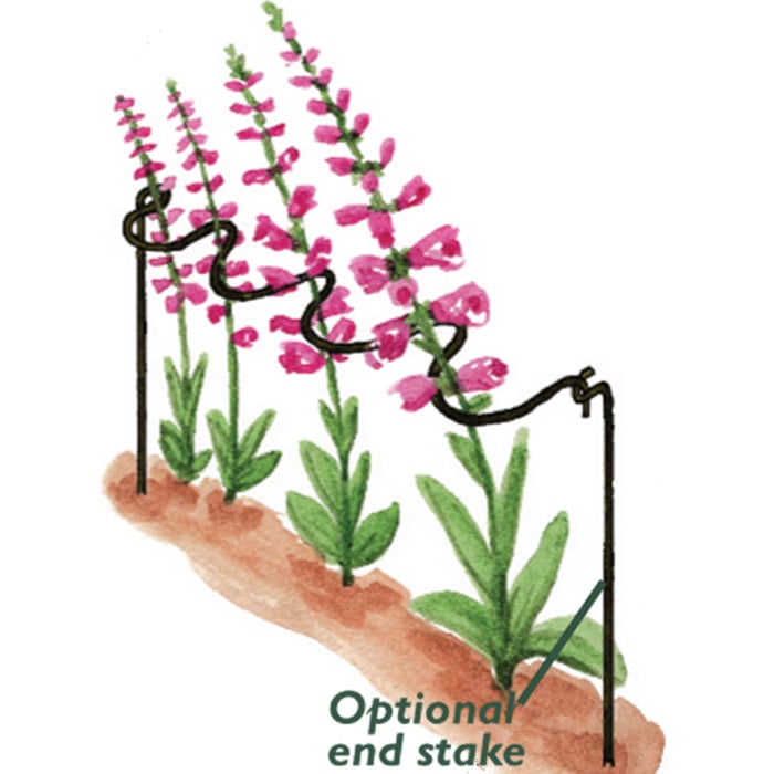 Top 10 Plant Supports by Harrod Horticultural