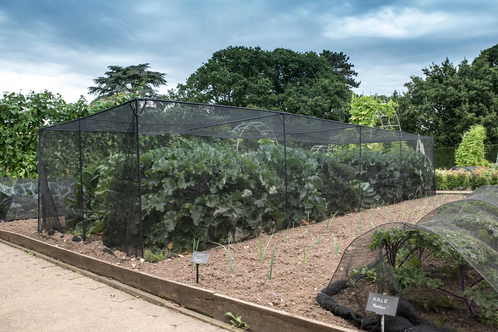 Harrod Slot & Lock® Black Coated Aluminium Vegetable Cage (1.5m H)