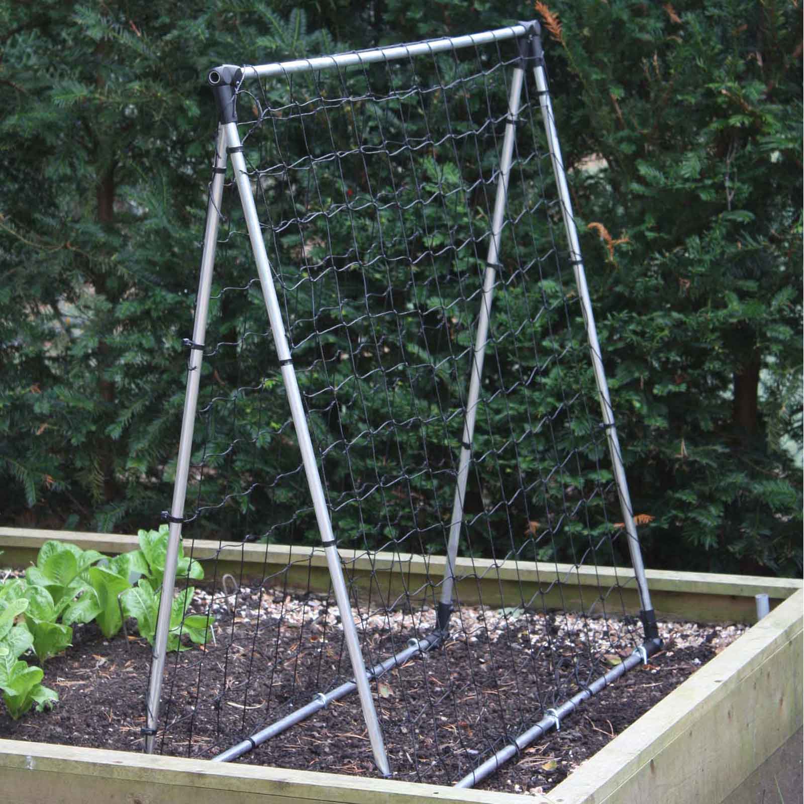 Harrod Slot & Lock¨ Pea Support Frames - Harrod Horticultural (UK)