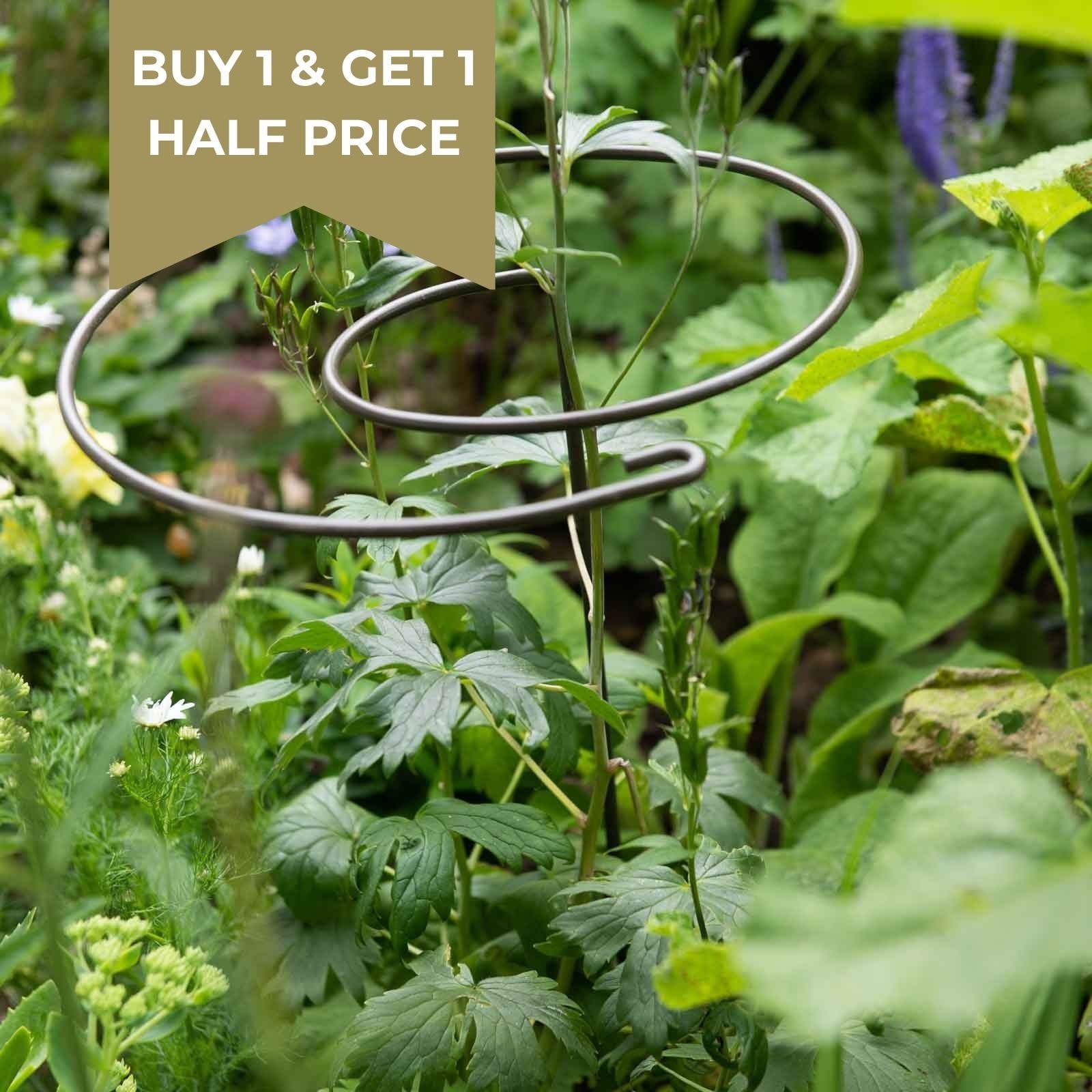 Harrod Spiral Plant Support - Harrod Horticultural
