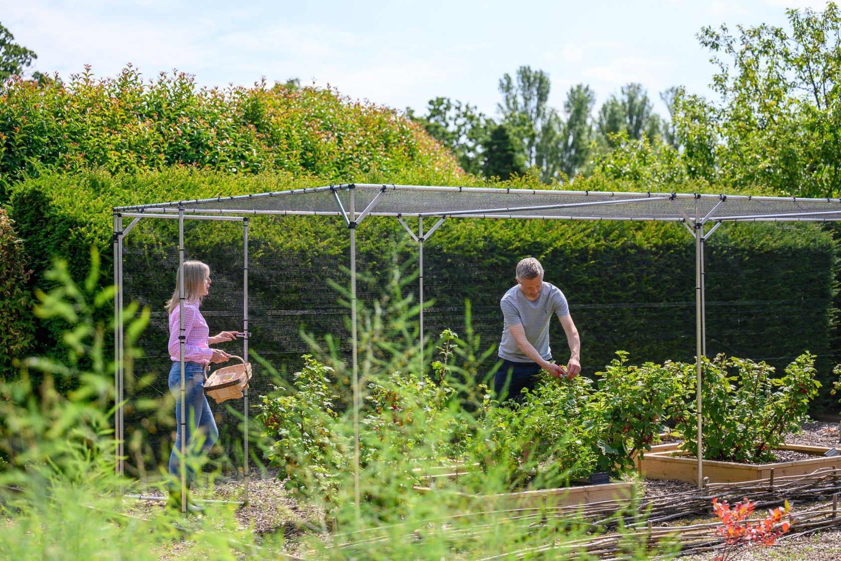 Harrod Step Over Support - Plant Supports at Harrod Horticultural