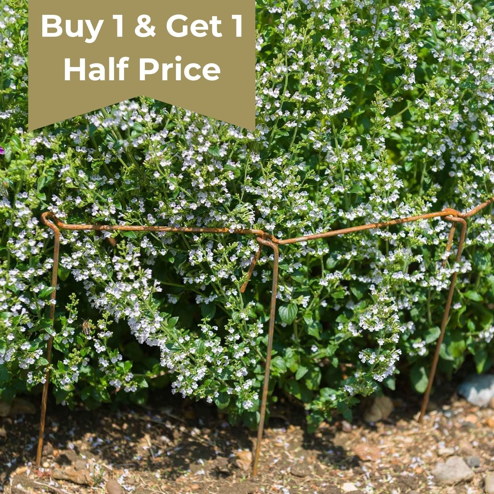 Link Stakes Natural Rust - Harrod Horticultural