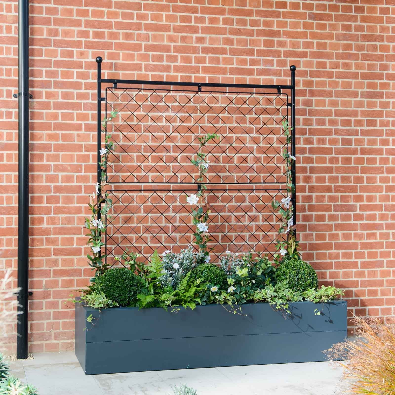 Harrod Trellis Growing Frame - Harrod Horticultural