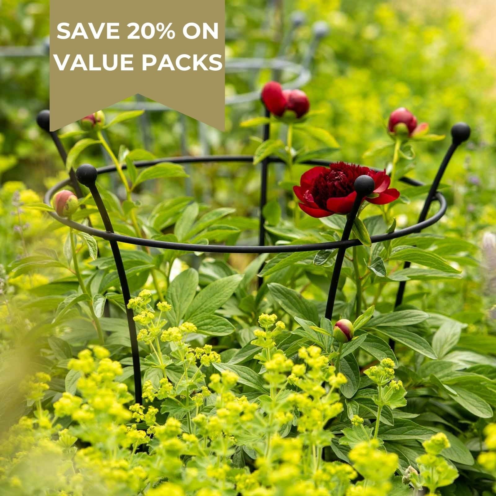 Peony Plant Supports in Black by Harrod Horticultural