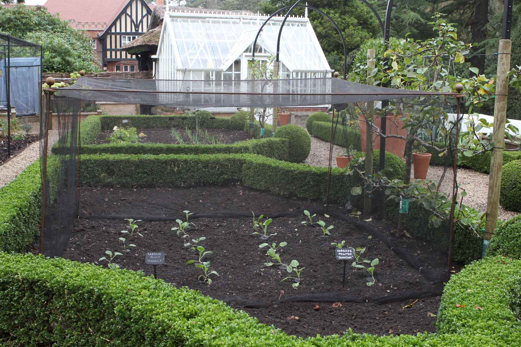 Vintage Fruit & Vegetable Cages Natural Rust - Harrod Horticultural