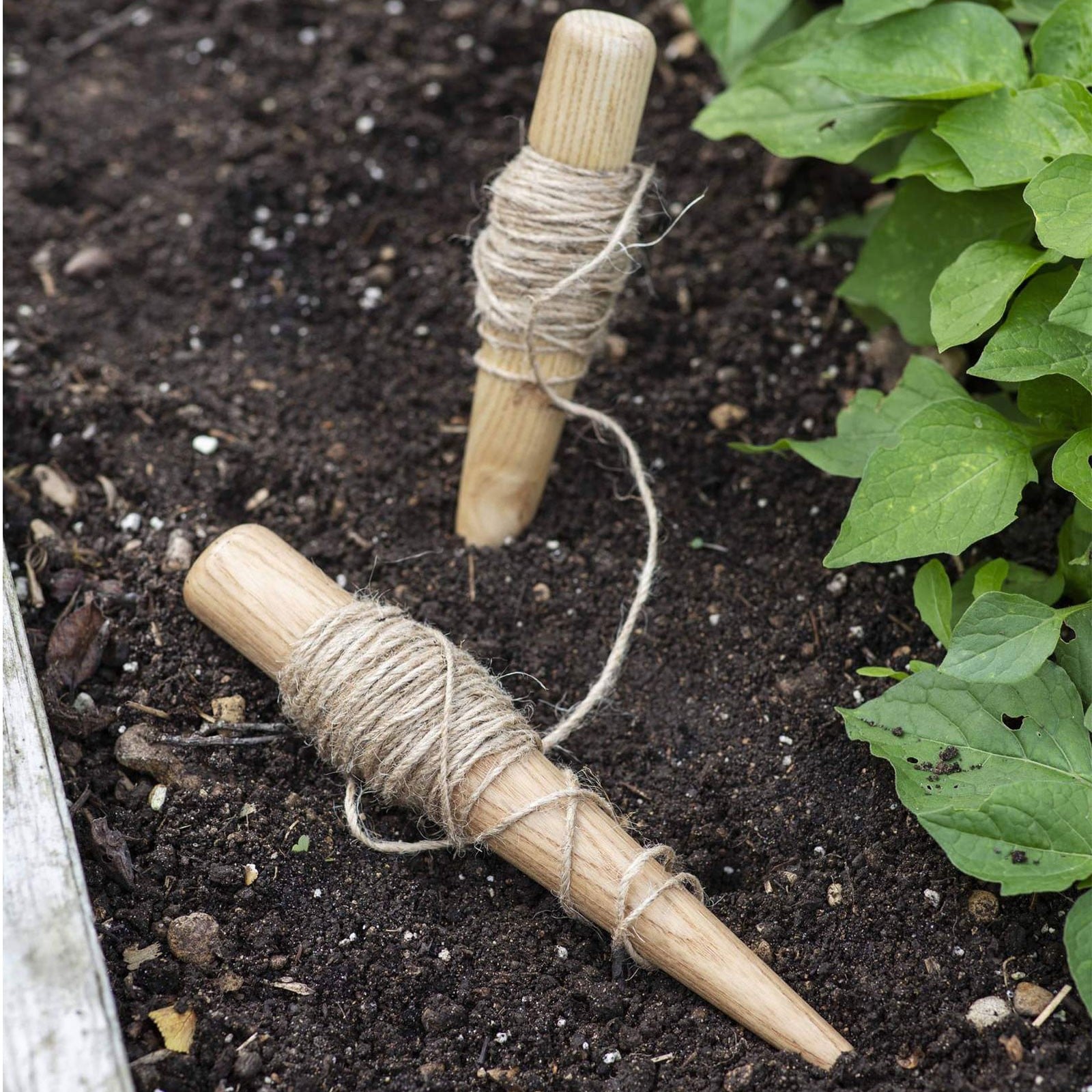Hawkesbury Garden Line - Harrod Horticultural