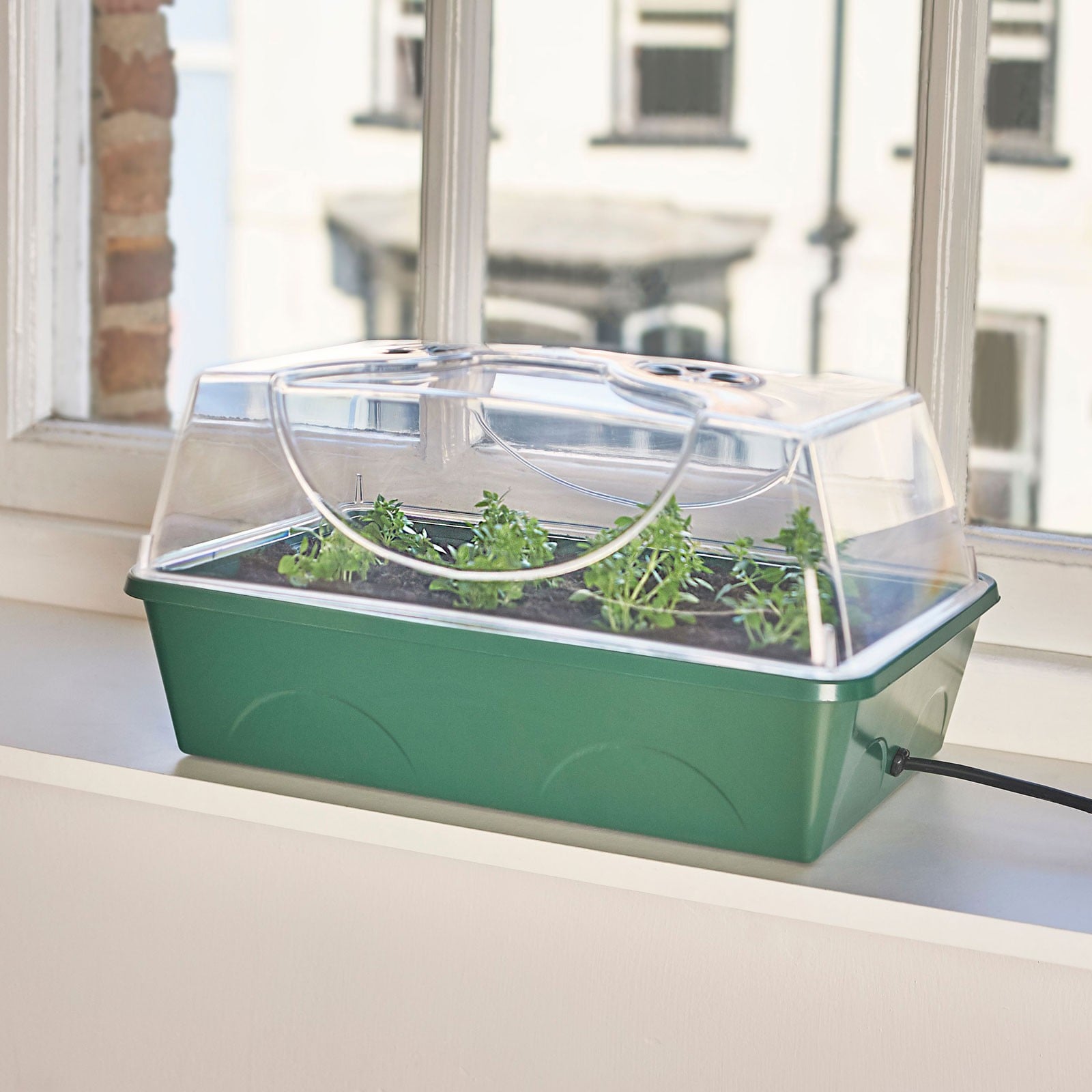 Heated Medium Propagator - Harrod Horticultural