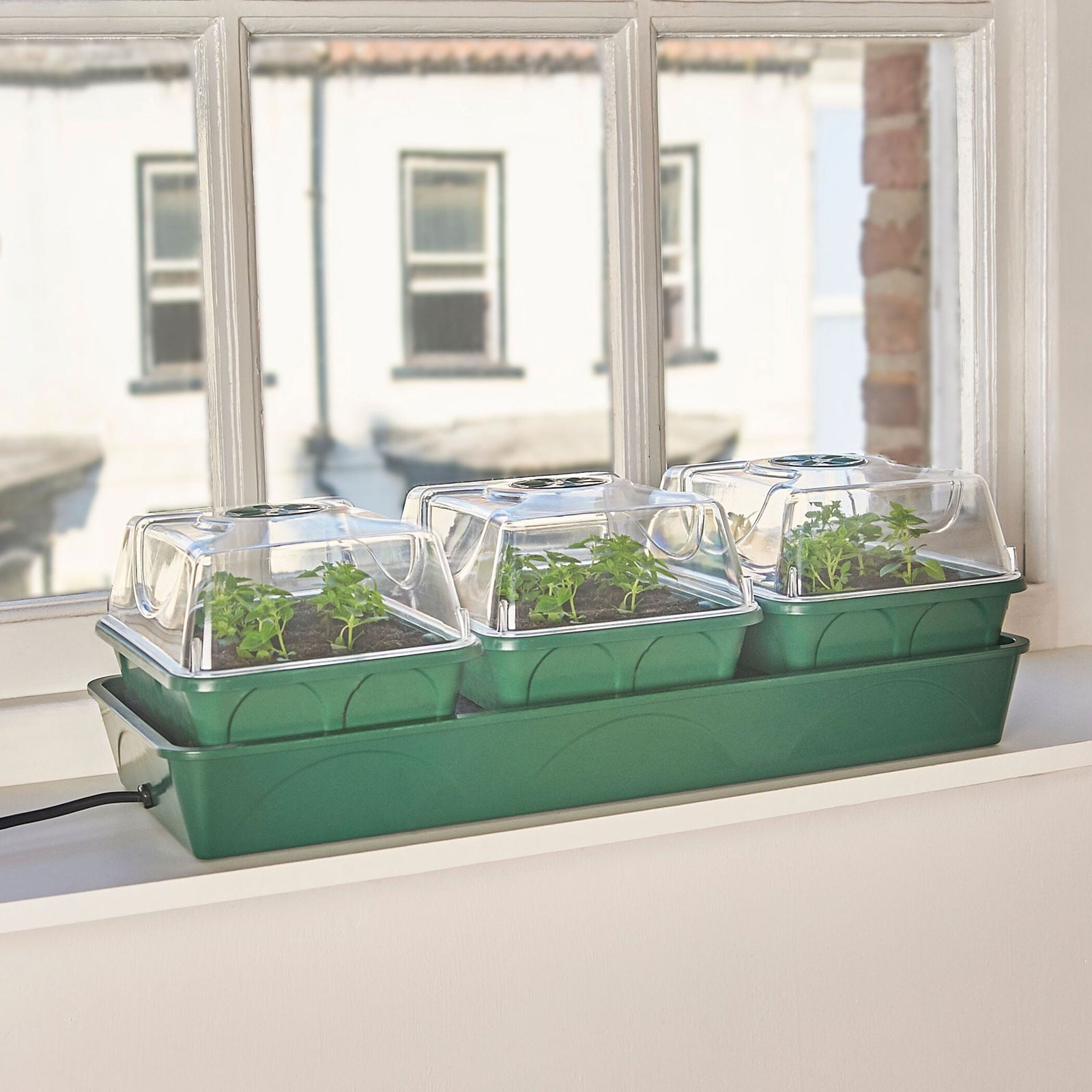 Heated Windowsill Propagator with Capillary Mat & Tray - Harrod