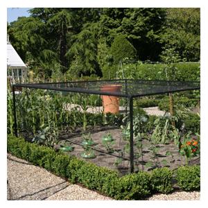 Heavy-Duty Steel Vegetable and Strawberry Cage - Harrod Horticultural