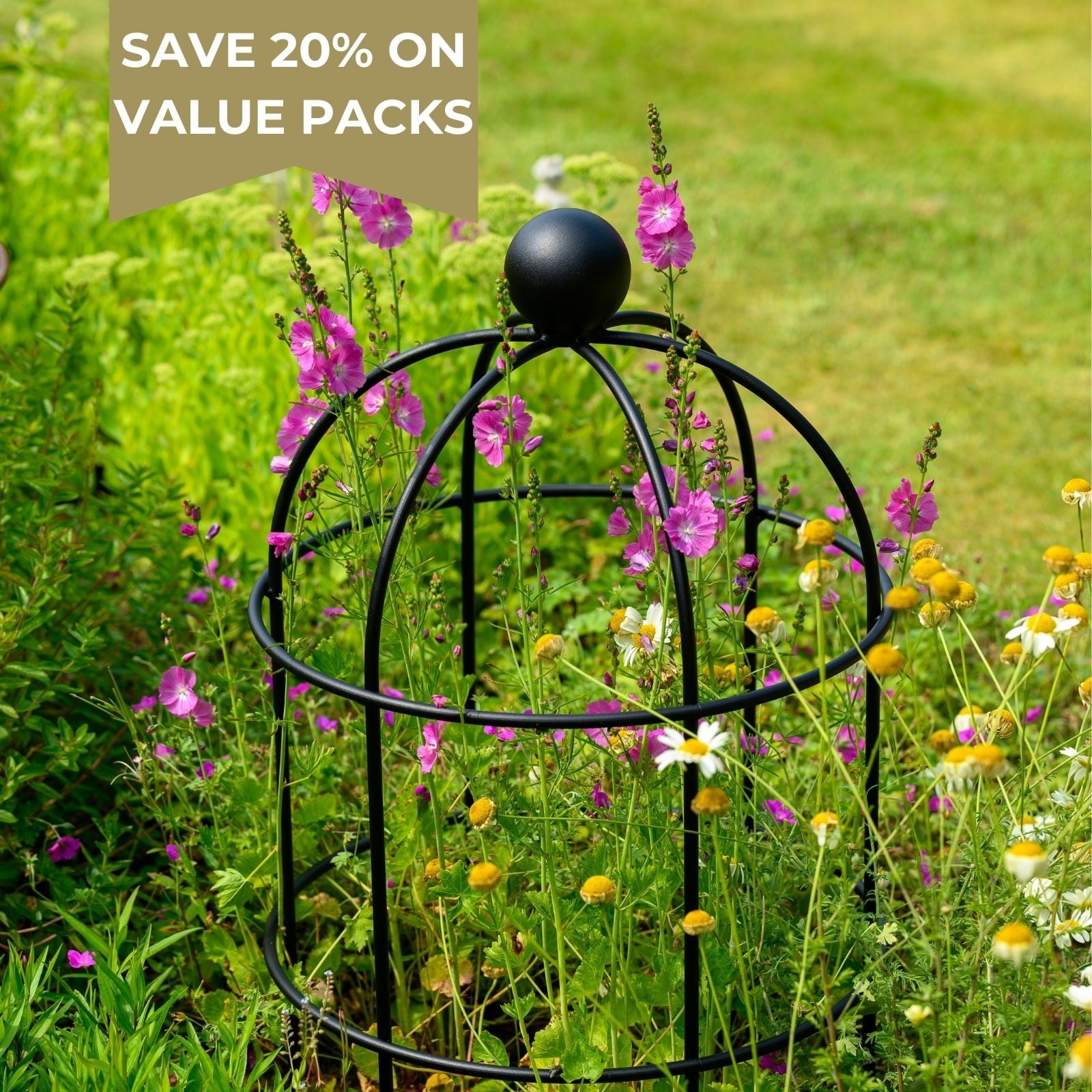 Lobster Pot Plant Supports by Harrod Horticultural