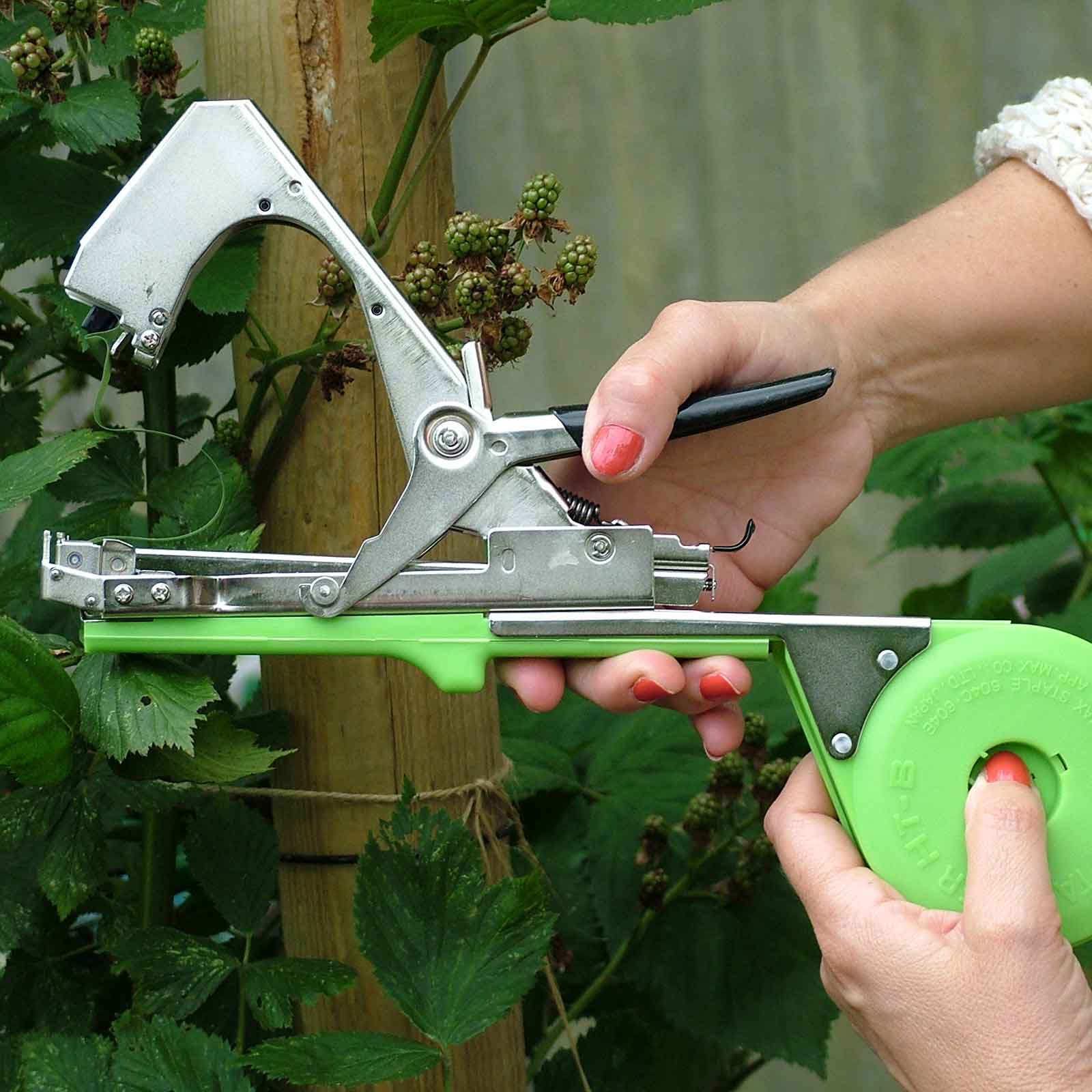 Max Tapener Vine Tying Tool - Harrod Horticultural